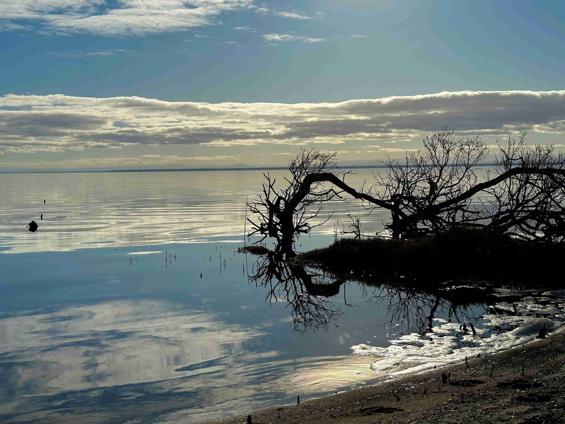 Roseneath Holiday Park