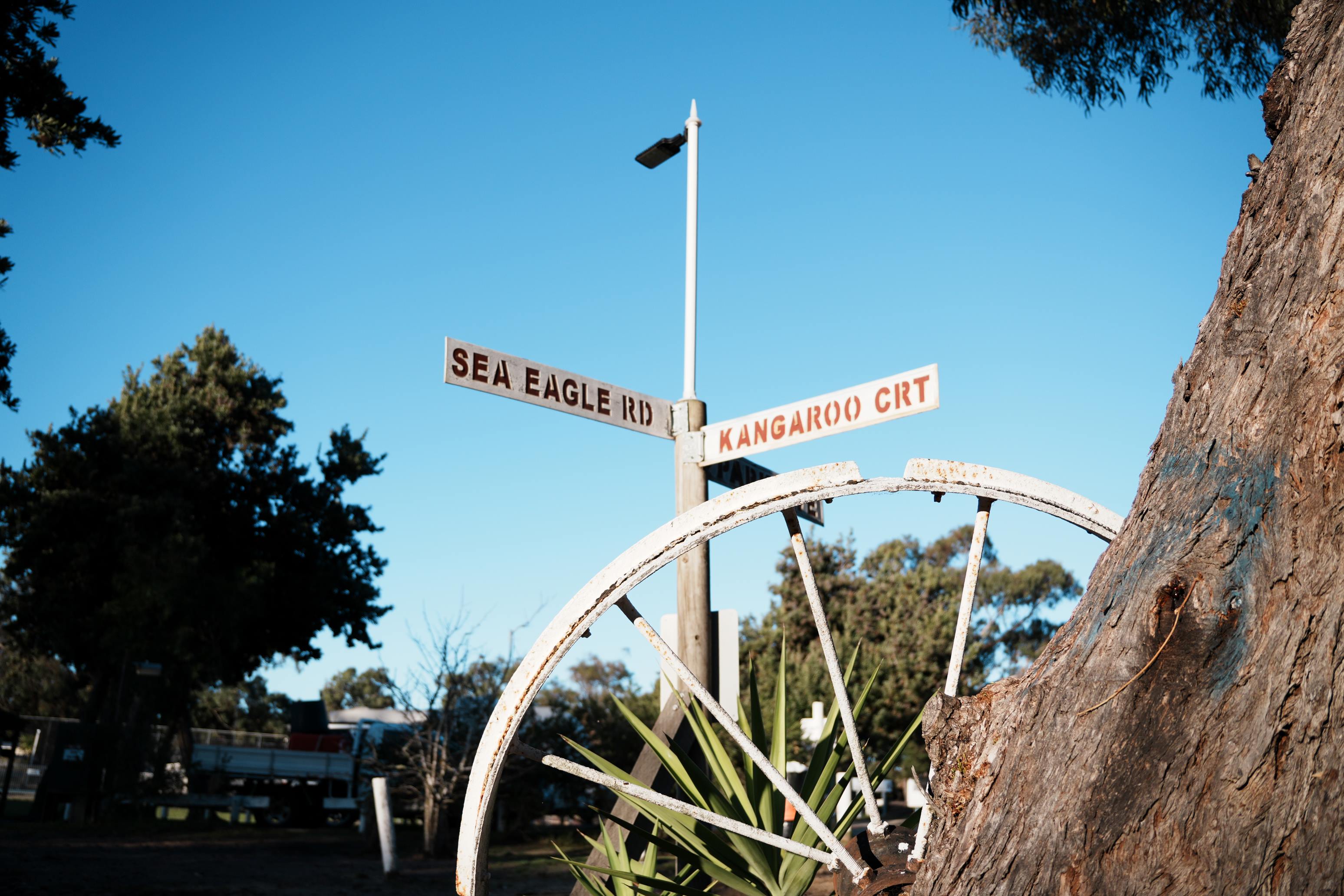 Roseneath Holiday Park